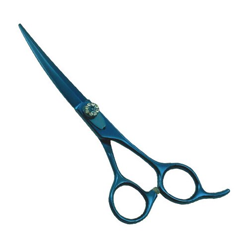 Blue Coated Scissor / Shear - Surgical Region